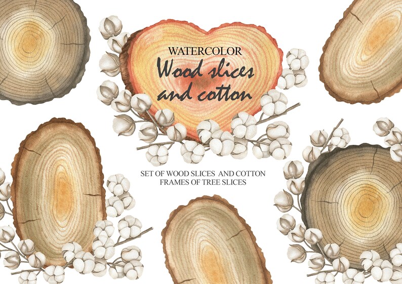 Watercolor Wood Slice and Cotton Clipart, Floral Wooden Slices, Rustic ...