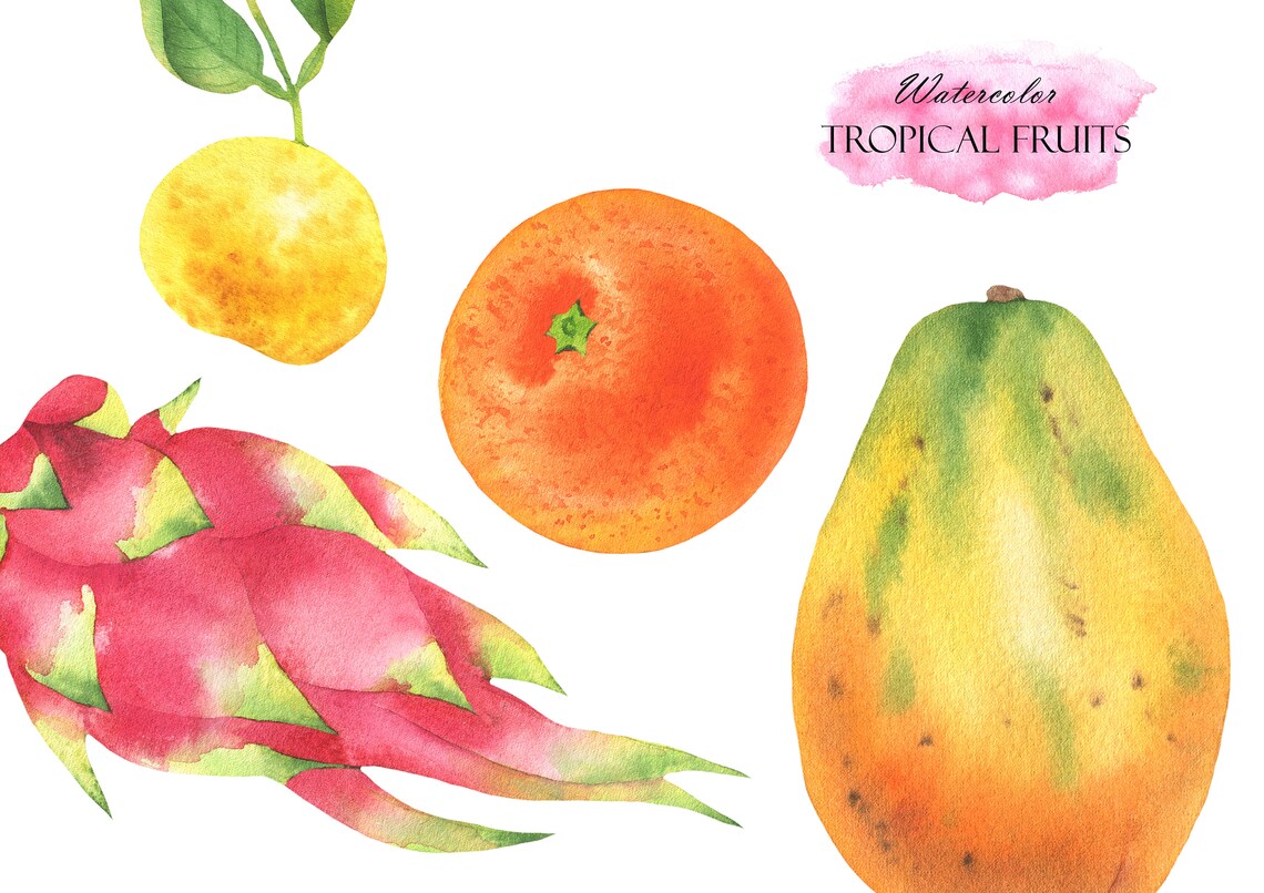Watercolor Tropical Fruit Clipart, Summer Fresh Exotic Fruits Clip Art ...