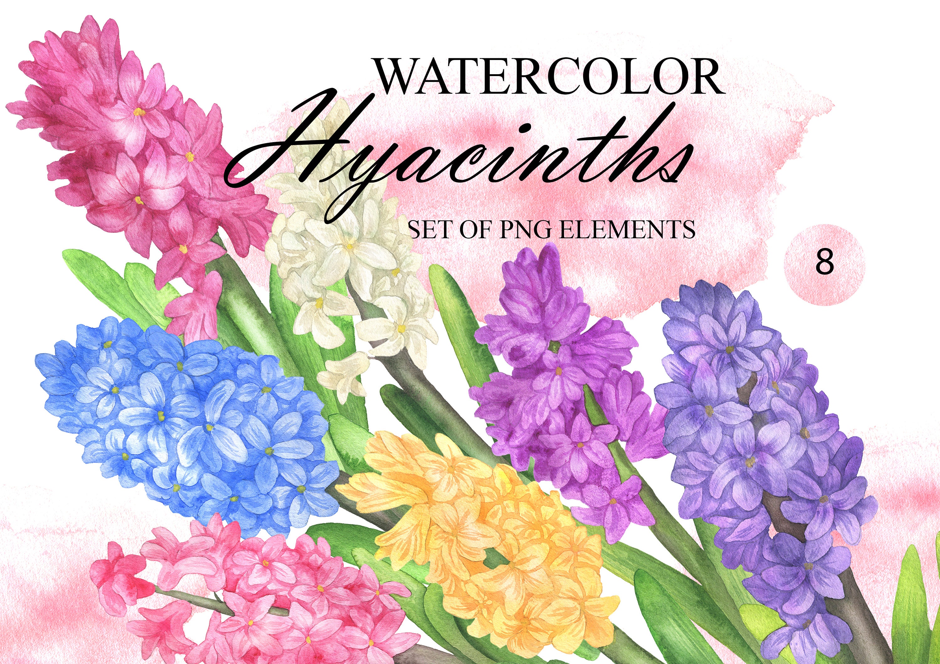 Watercolor Hyacinths Clip Art, Colored Hyacinth, Spring Flowers Clipart ...