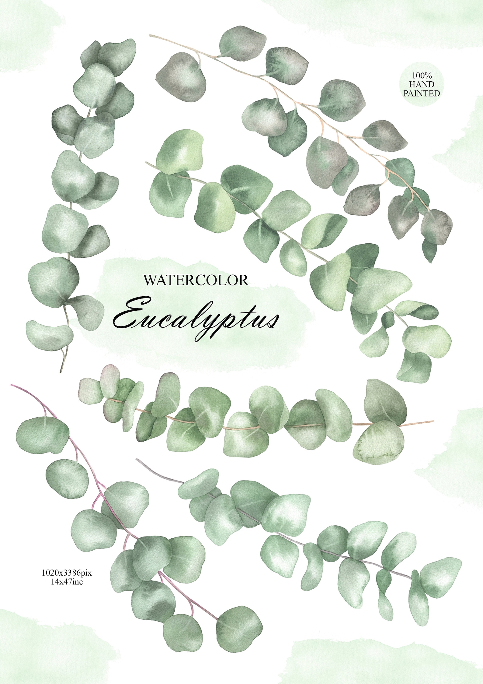 Watercolor Eucalyptus Clipart, Greenery Clip Art, Eucalyptus Bouquet ...