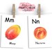 Watercolor Fruit Alphabet ABC Card, Learning Letters, Printable ...
