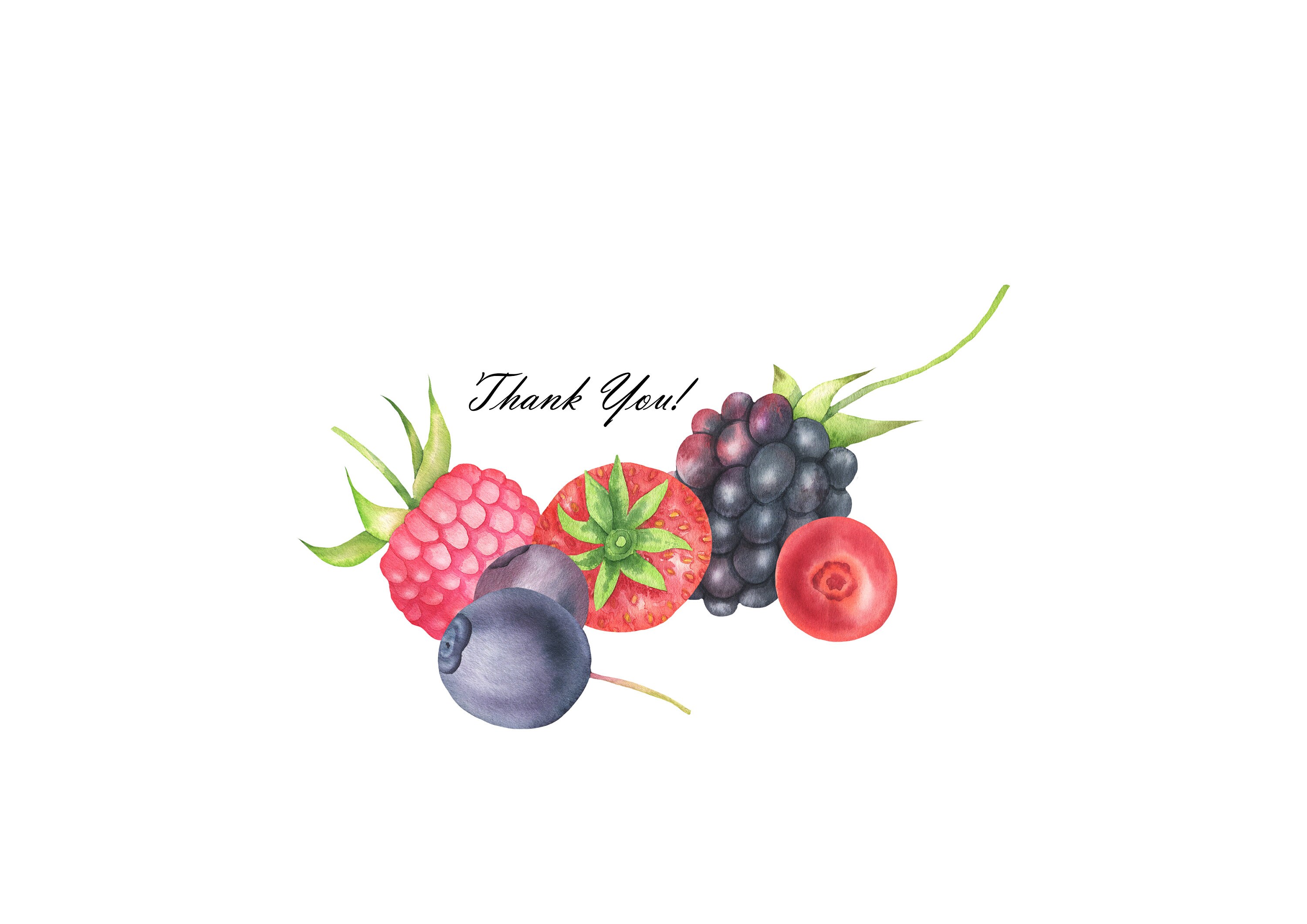 Wild Berries Clip Art