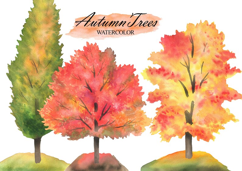 Watercolor Autumn Trees Clipart, Fall Tree Clip Art, Forest Trees ...