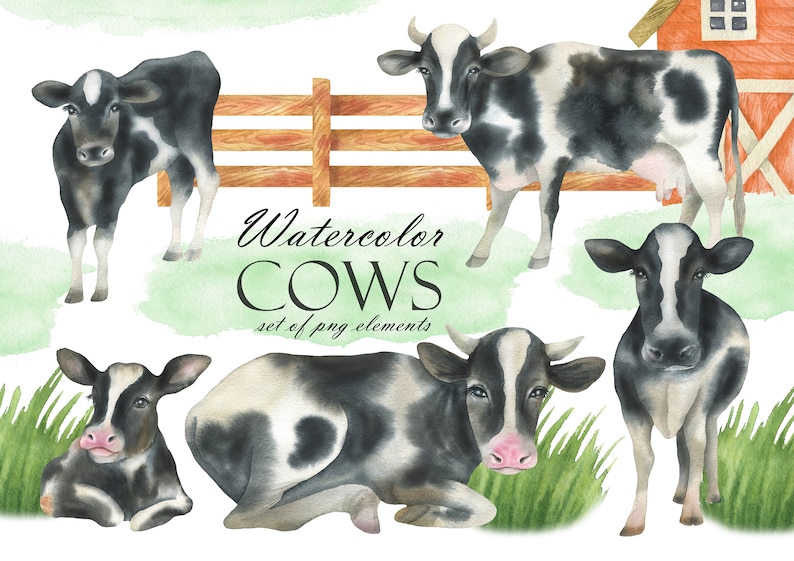 Watercolor Cow Clipart Cattle Clip Art Calf Clipart Dairy - Etsy