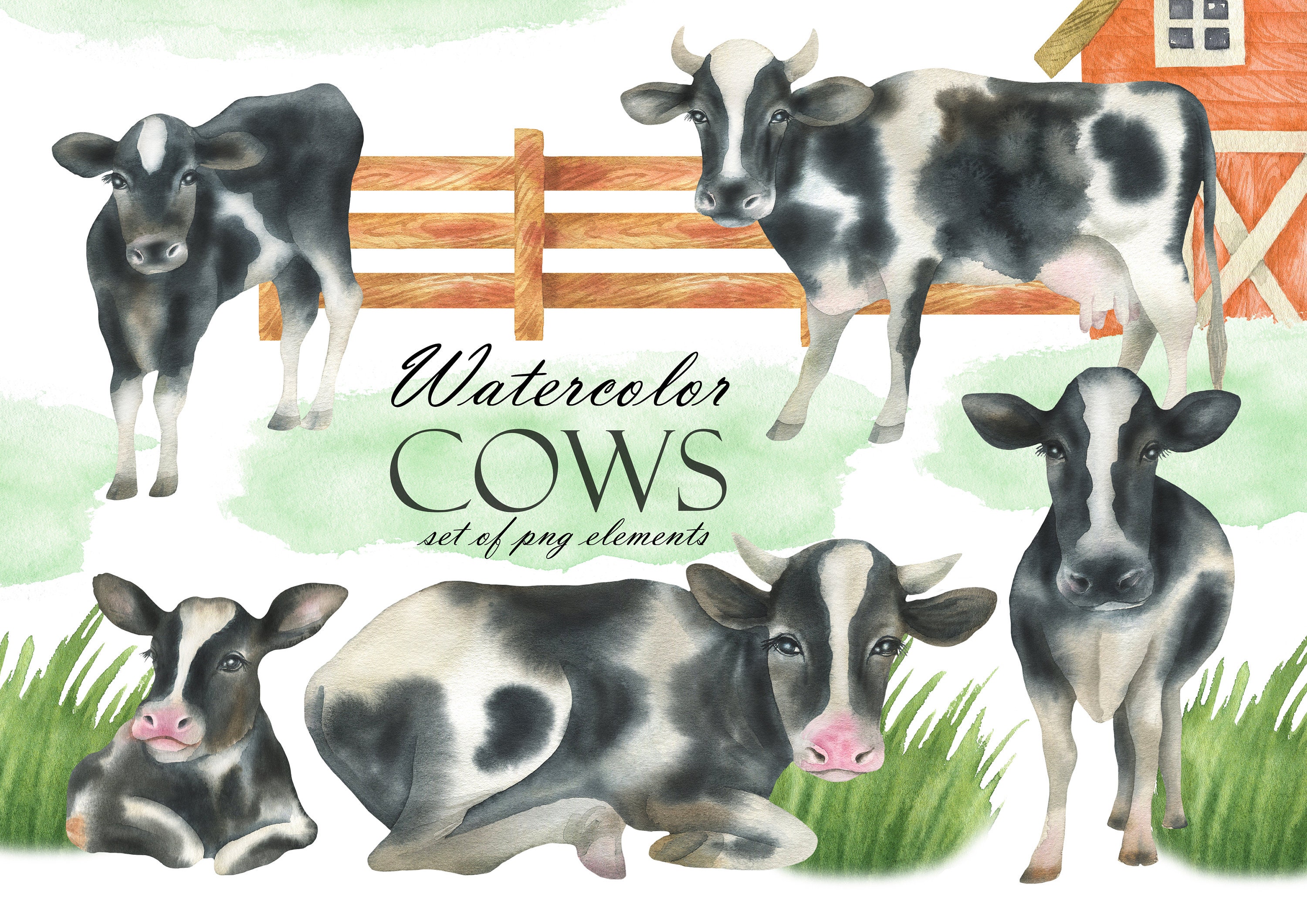 Watercolor Cow Clipart Cattle Clip Art Calf Clipart Dairy - Etsy