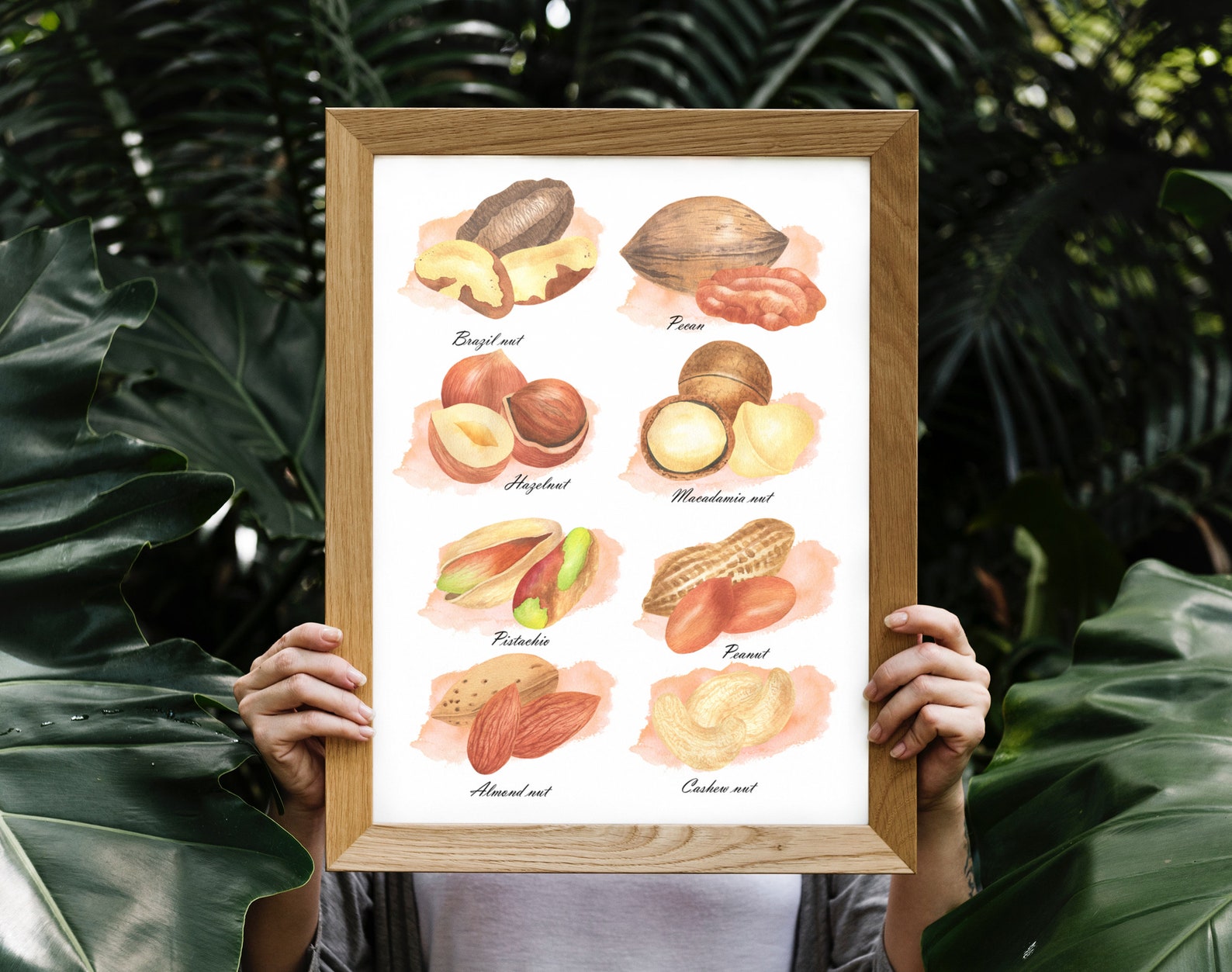 Nuts Watercolor Clipart, Pistachios, Hazelnut, Almond, Walnut, Cashew ...