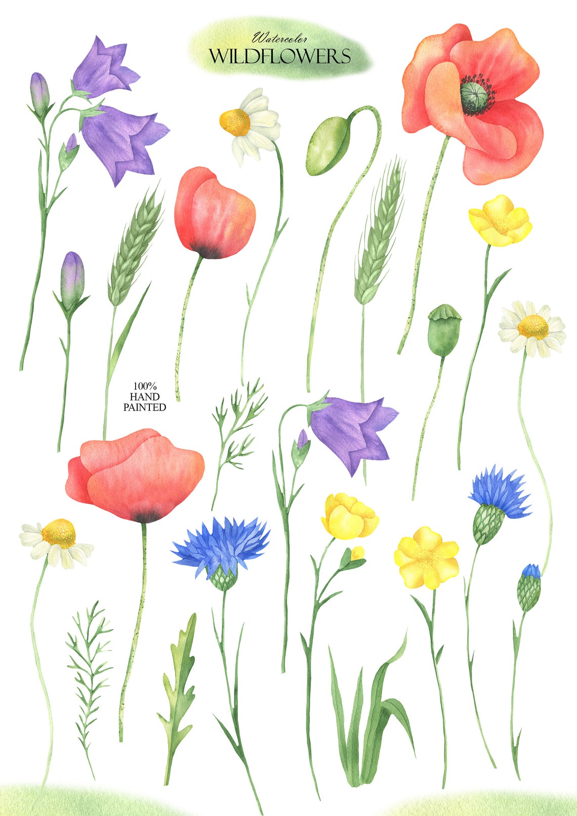 Watercolor Wildflowers Clipart, Meadow Flowers Poppies, Daisies ...