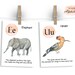 Watercolor Animal Alphabet ABC Card, Learning Letters, Printable ...