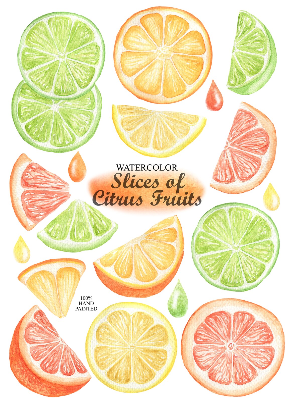 Watercolor Citrus Fruit Clipart Slices of Citrus Lemon | Etsy