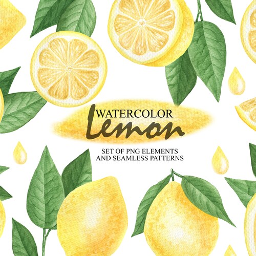 Watercolor Grapefruit Clipart Citrus Summer Fruit Clip Art - Etsy