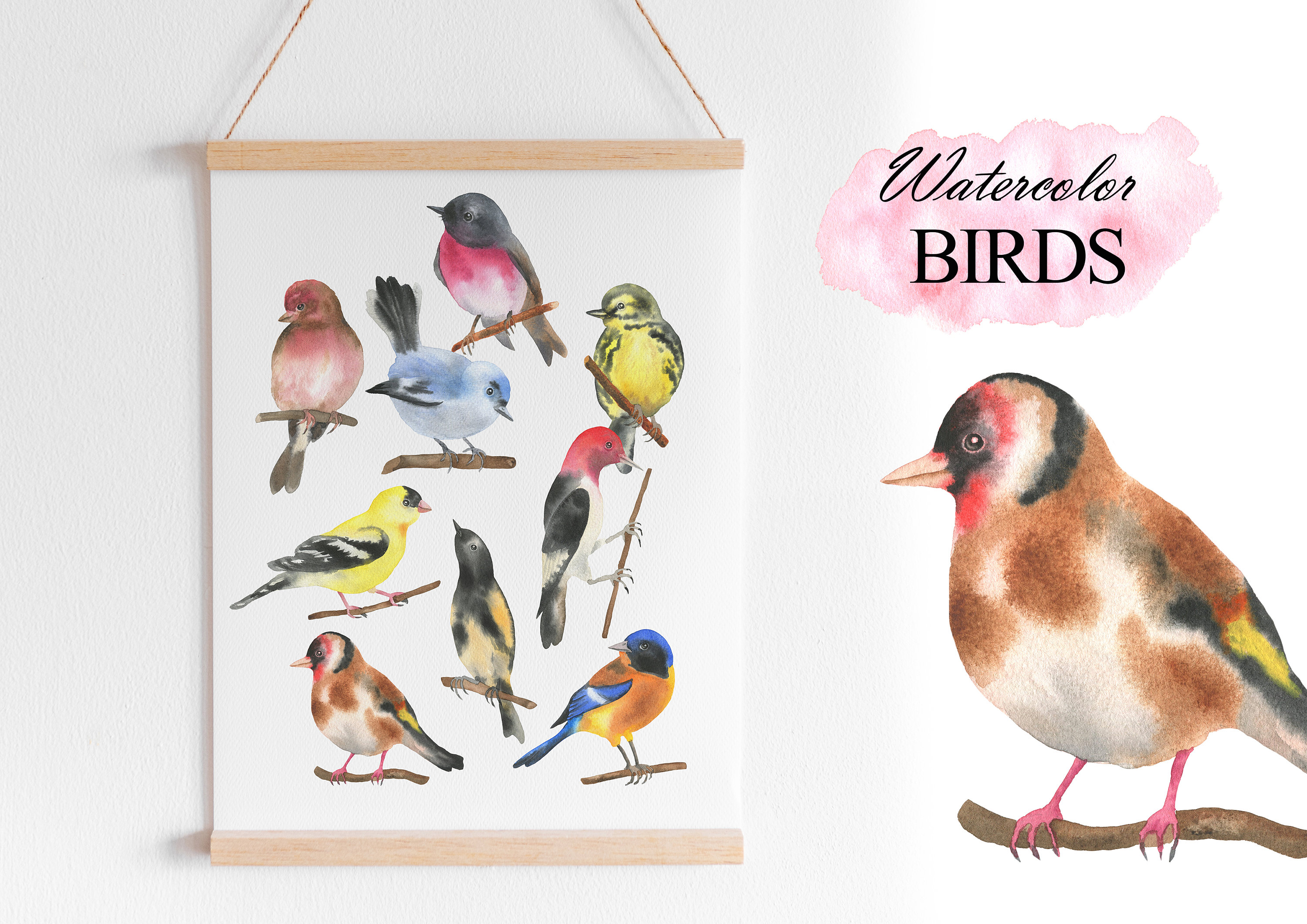 Watercolor Birds Clipart, Spring Bird Clip Art, Colorful Birds on ...
