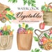 Watercolor Vegetable Clipart, Eco Farm Vegetable, Fresh Vegetables ...