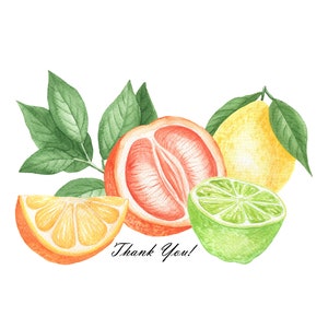 Watercolor Citrus Fruit Clipart, Fresh Summer Lemon, Orange, Grapefruit ...
