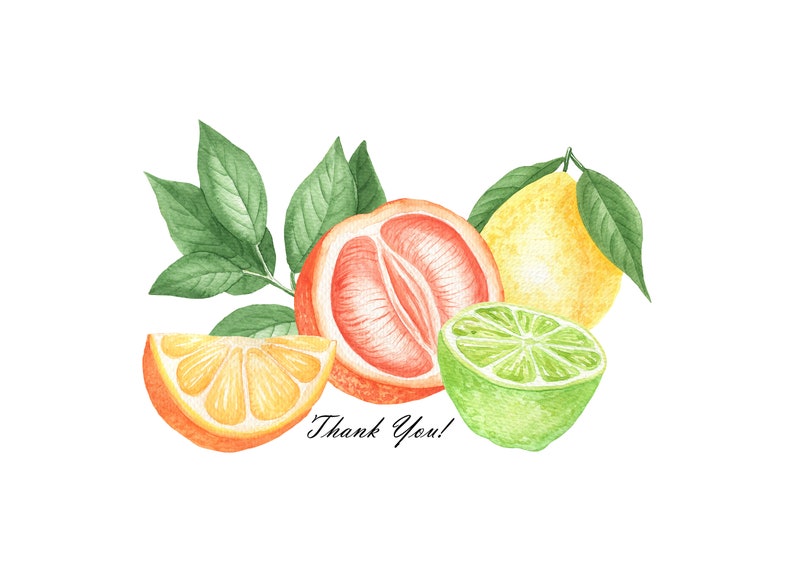 Watercolor Citrus Fruit Clipart Fresh Summer Lemon Orange - Etsy