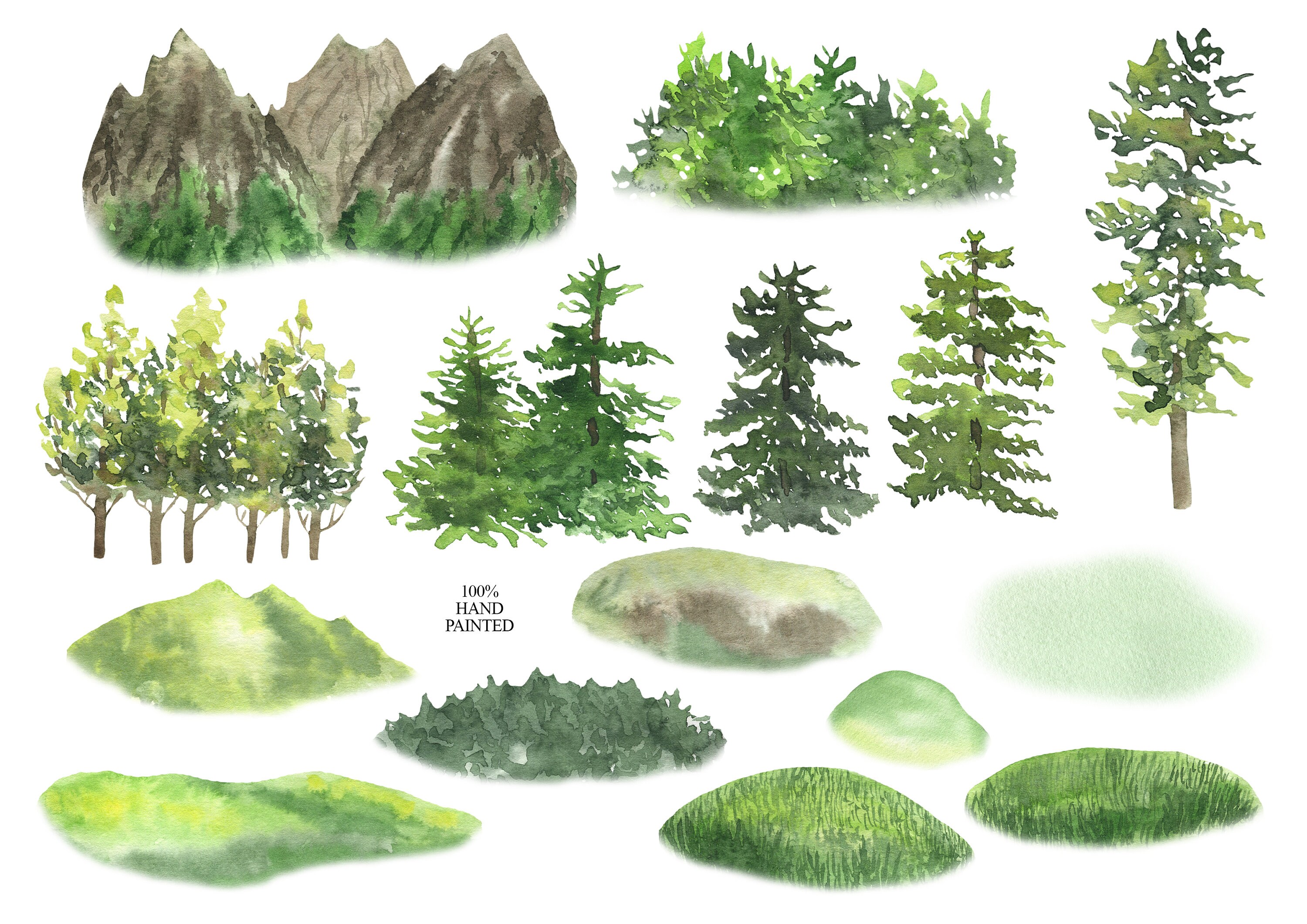 Watercolor Forest Tree Clipart Woodland Pine Trees - Etsy