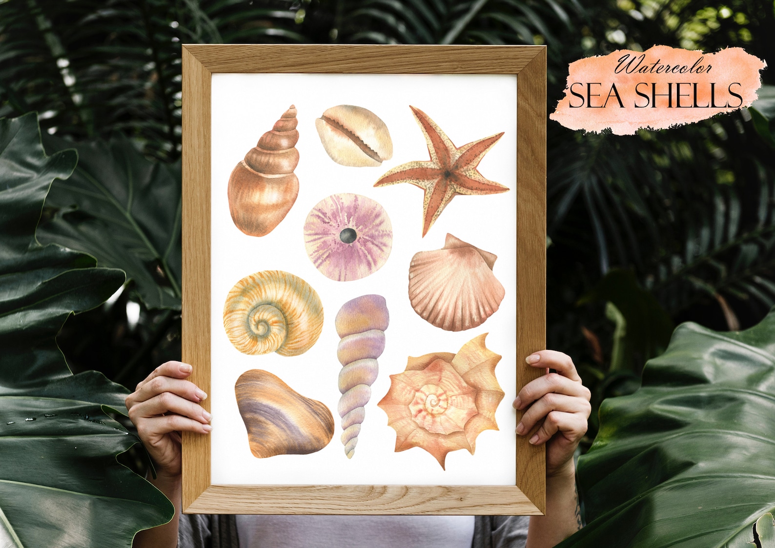 Watercolor Seashell Clipart Nautical Clip Art Sea Ocean Clip - Etsy