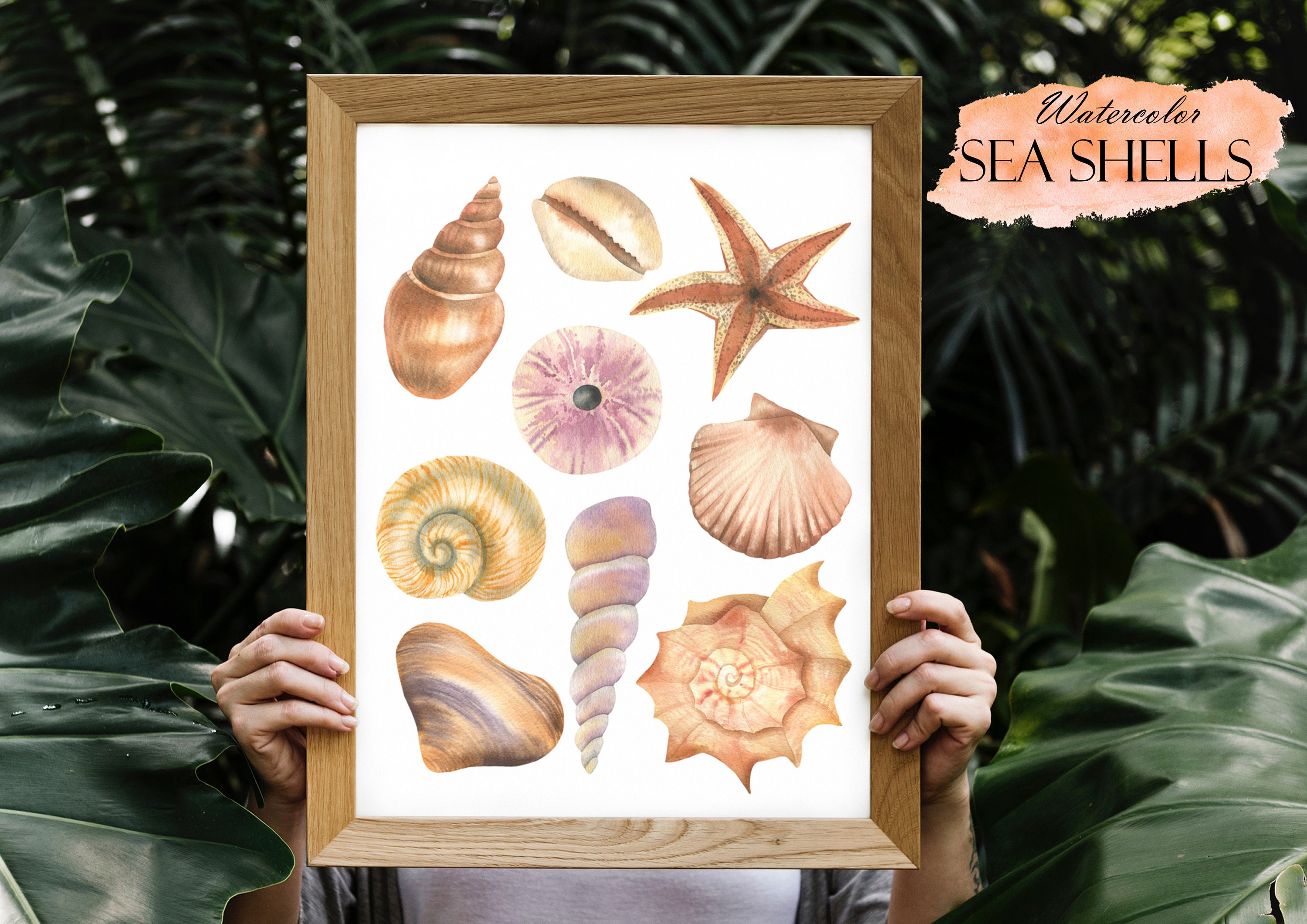 Watercolor Seashell Clipart Nautical Clip Art Sea Ocean Clip - Etsy