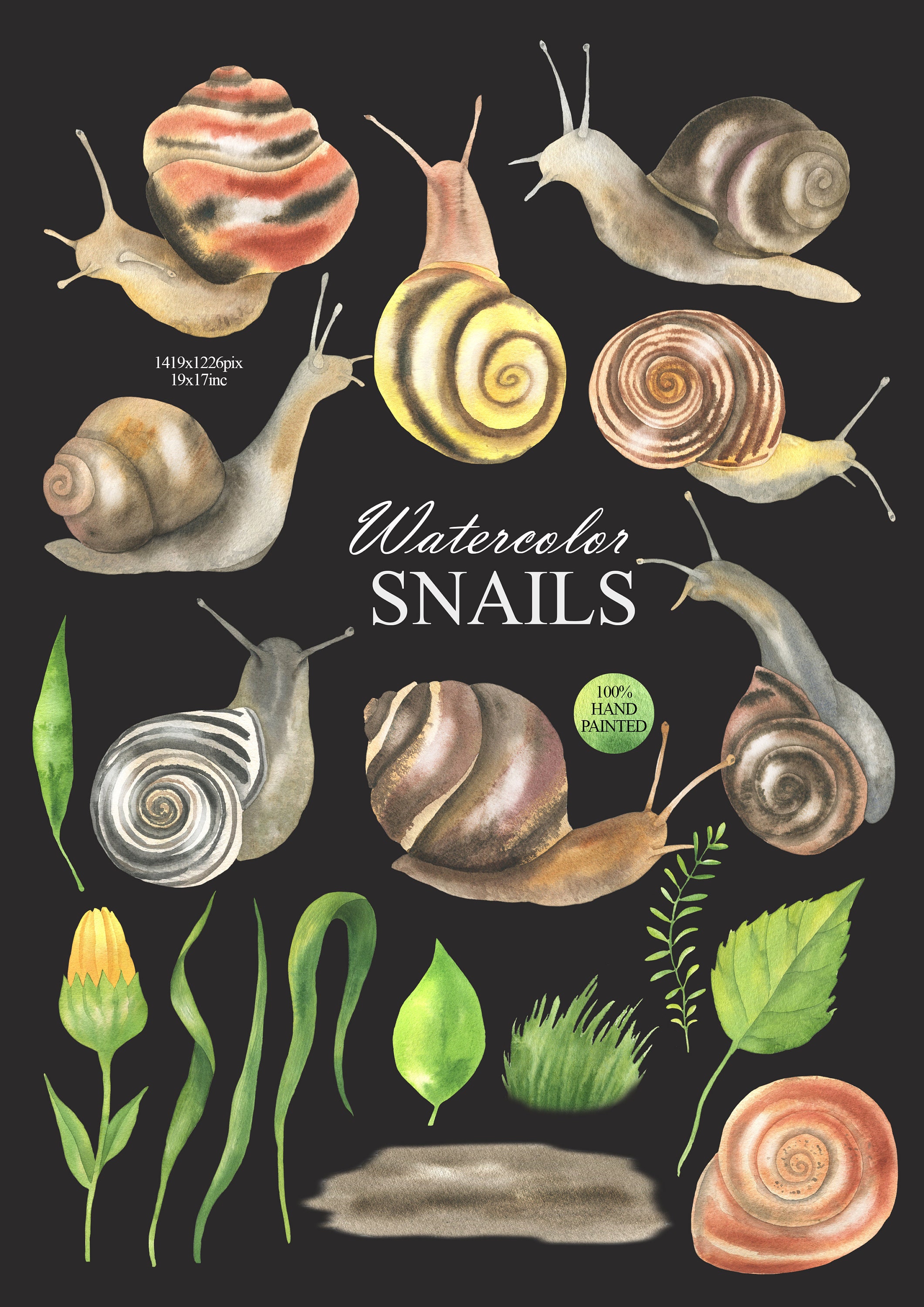 Watercolor Snail Clip Art, Colorful Snails Clipart, Garden Slug Clipart ...