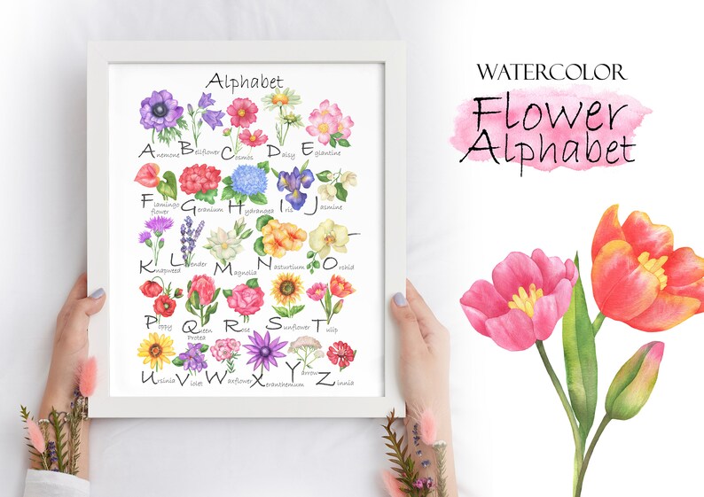 Watercolor Flower Alphabet Clipart, Flowers ABC, Alphabet Poster ...