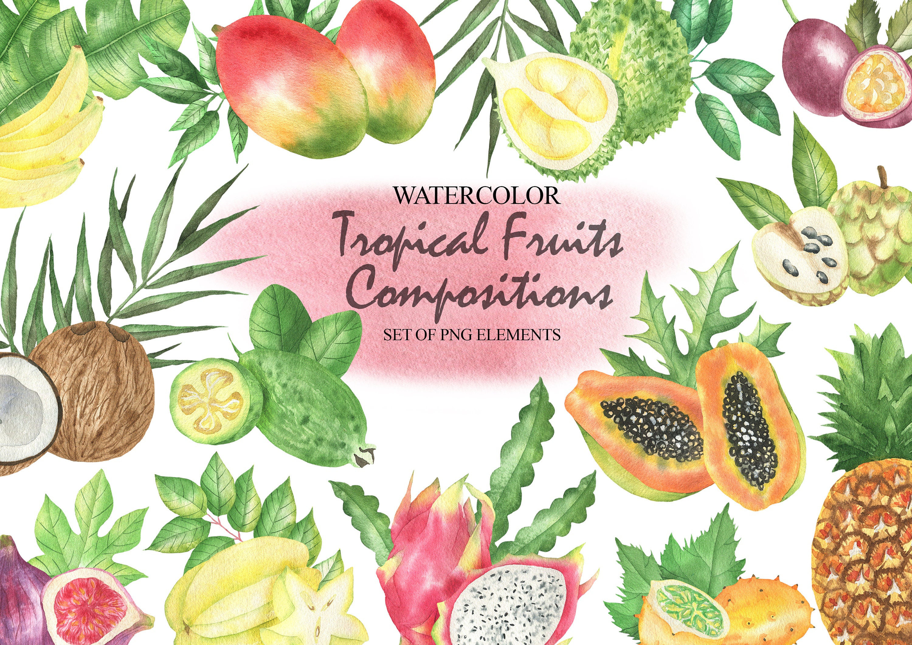 Watercolor Tropical Fruit Clipart Summer Fresh Mango Banana | Etsy