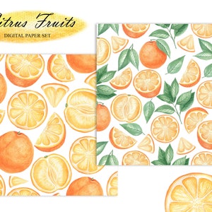 Watercolor Citrus Fruits Digital Paper, Lemon, Lime, Orange, Grapefruit ...