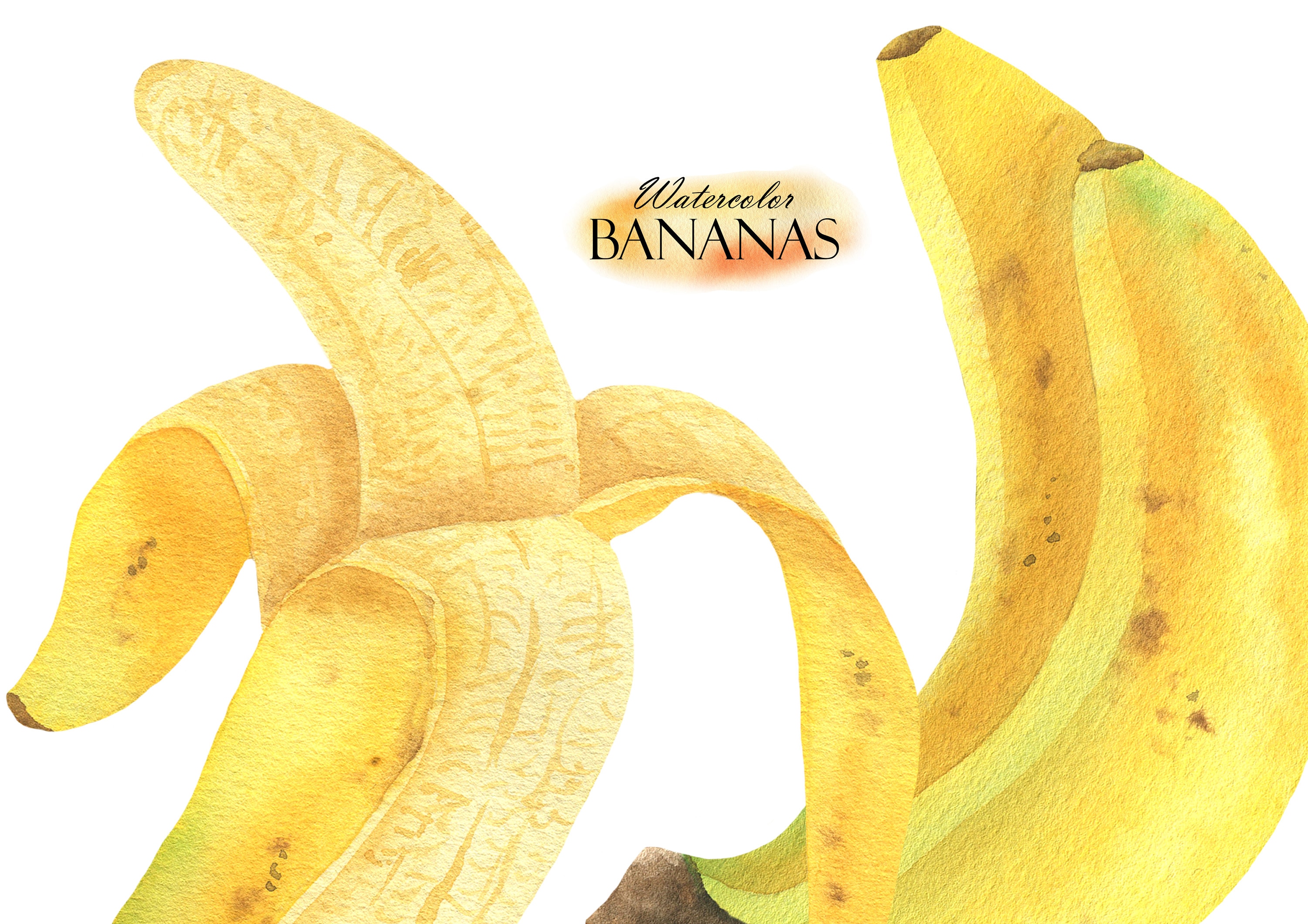 Watercolor Banana Clipart, Fresh Banana Slices, Yellow Banana Tropical ...