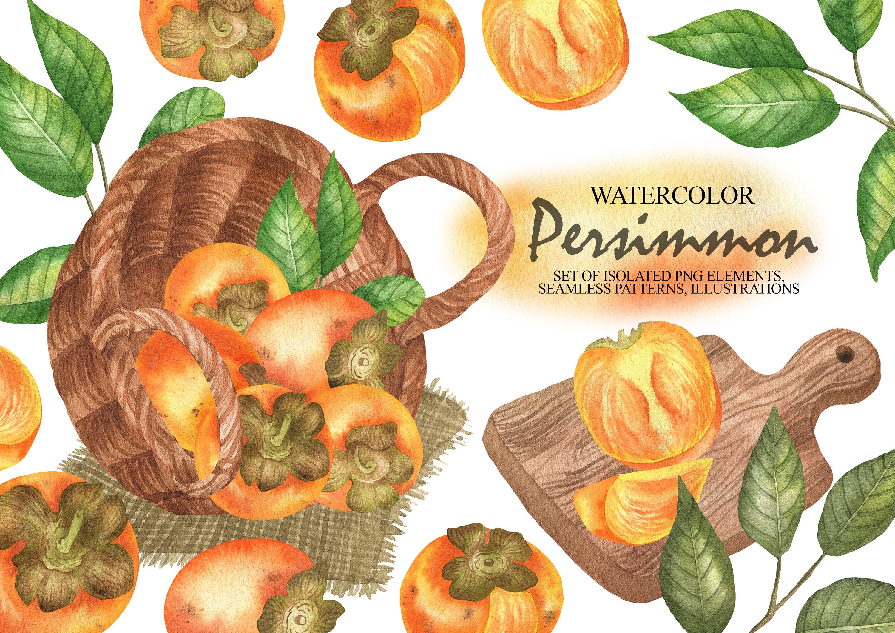 Persimmon Fruit Clip Art, Persimmon Watercolor Painting Botanical ...