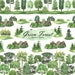 Green Forest Digital Paper, Watercolor Woodland Pine Trees Landscapes ...