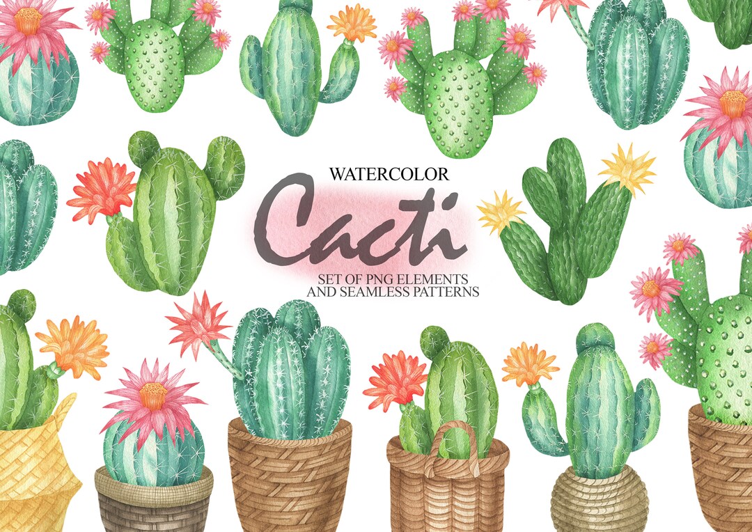 Watercolor Cactus Clipart, Tropical Desert Exotic Plants With Pink ...