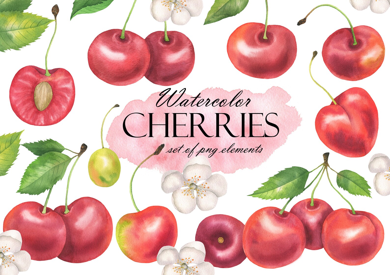 Watercolor Cherry Clipart, Cherries Branch, Summer Fresh Berries and ...