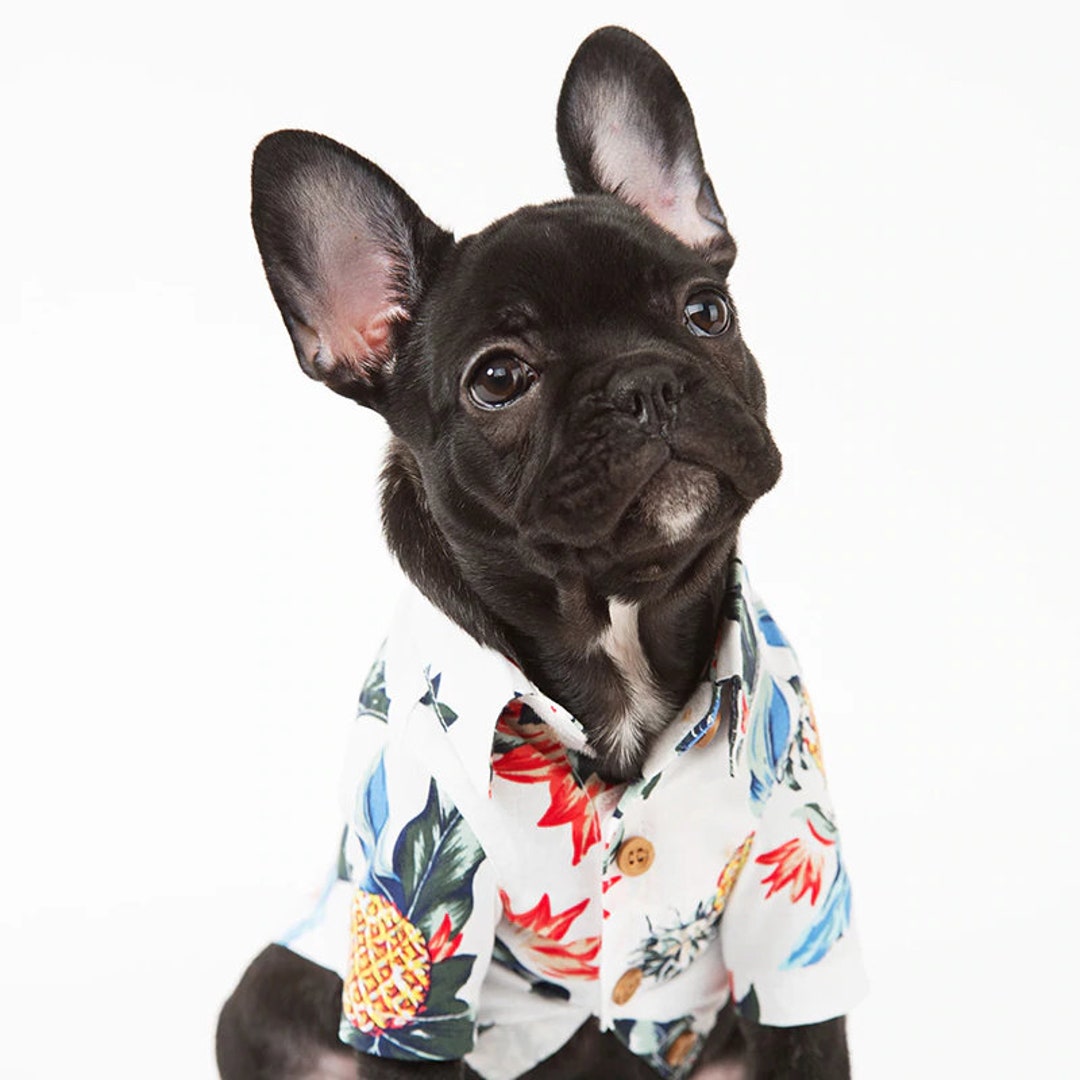 Summer Dog Clothes Dog Clothing Dog Clothes Pet Clothes - Etsy