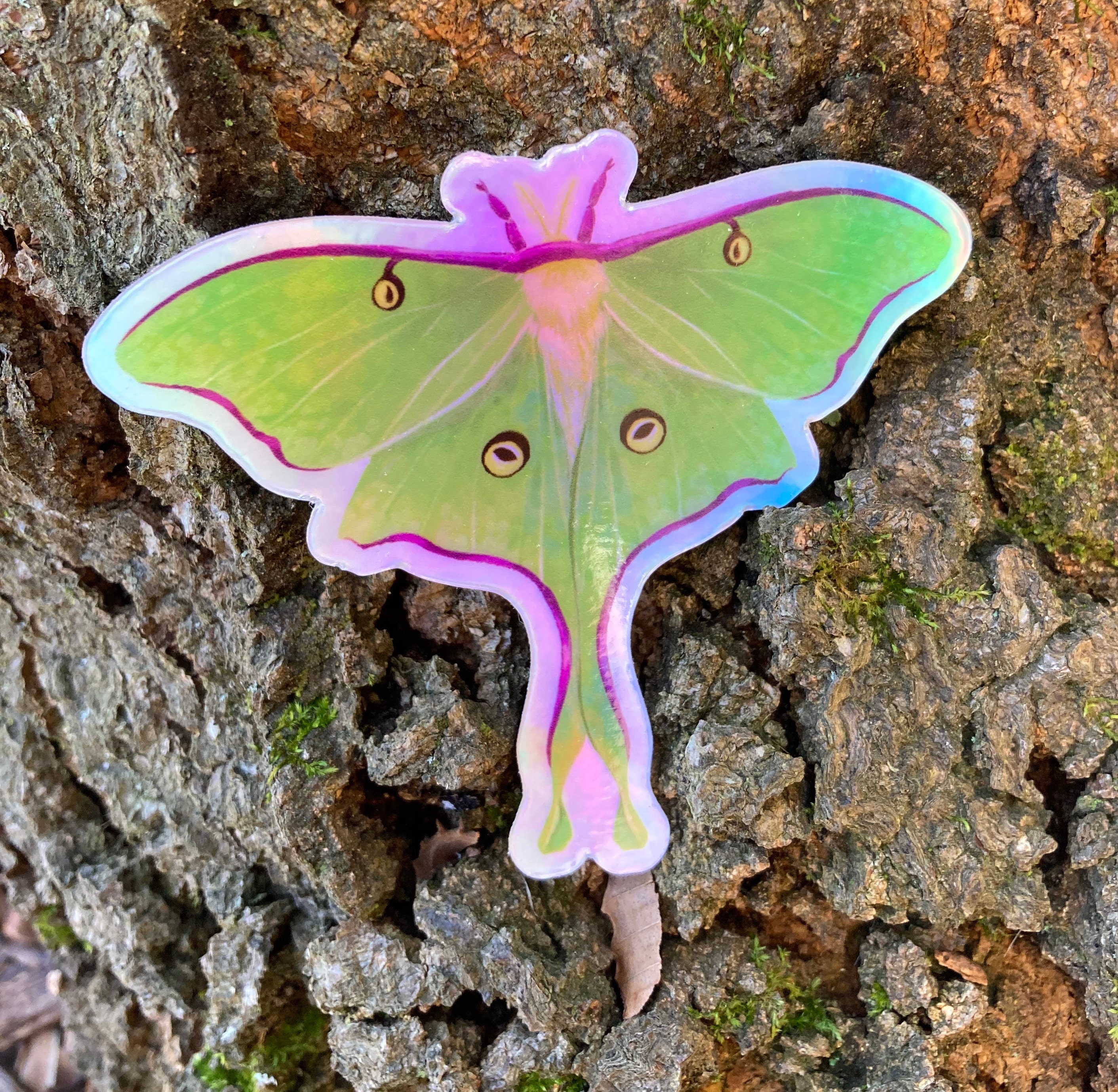 Magnificent Moth Stickers Vinyl Holo & Multi Sticker Sheets - Etsy