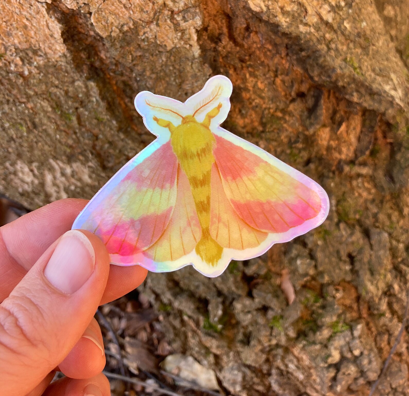 Magnificent Moth Stickers Vinyl Holo & Multi Sticker Sheets - Etsy