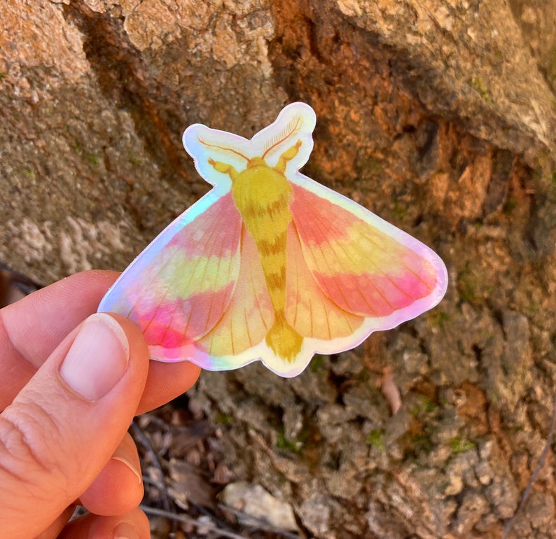 Magnificent Moth Stickers Vinyl Holo & Multi Sticker Sheets - Etsy