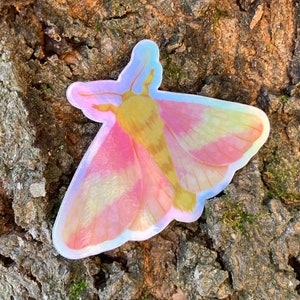 Magnificent Moth Stickers - Vinyl Holo & Multi Sticker Sheets - Etsy