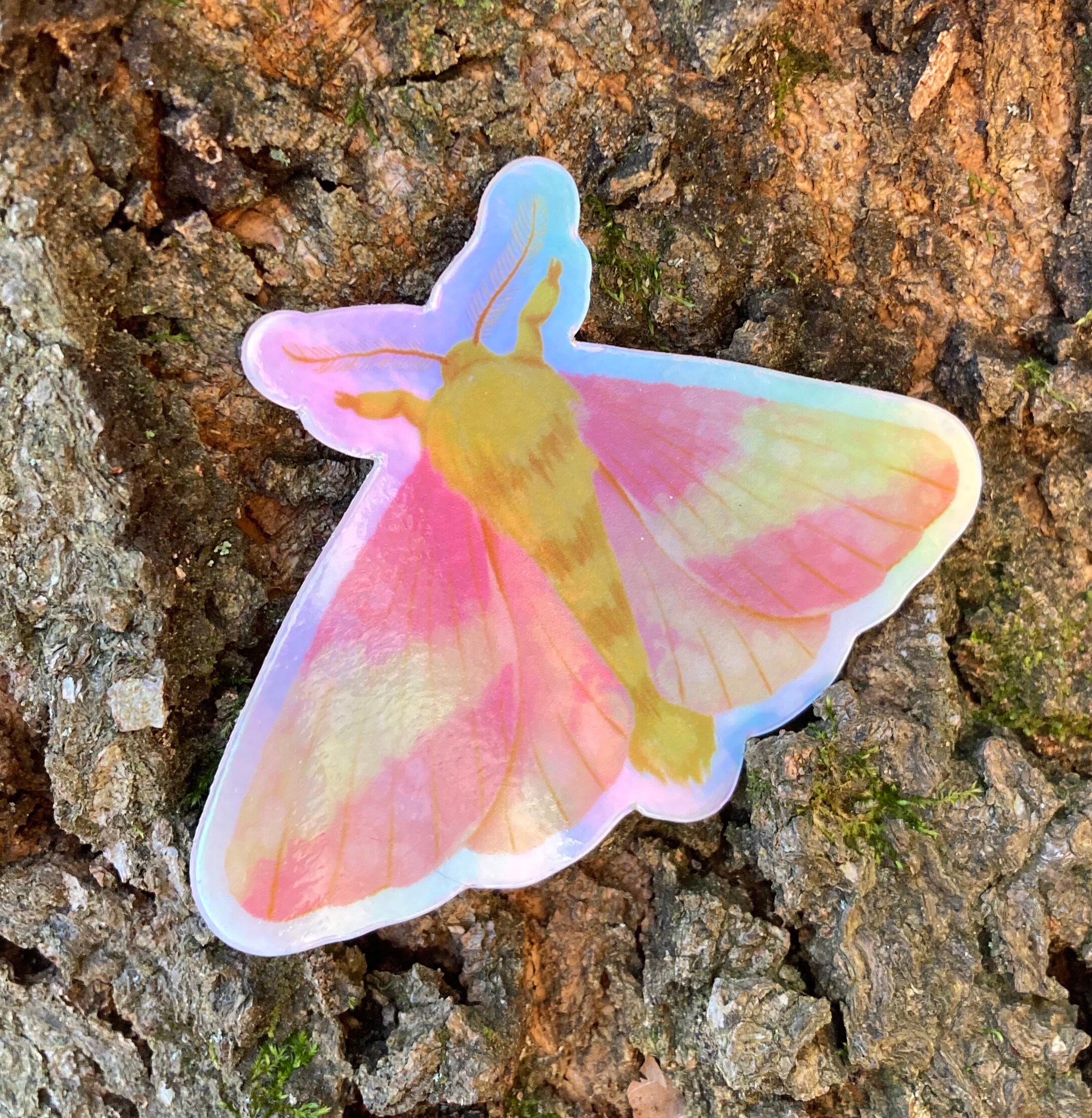 Magnificent Moth Stickers - Vinyl Holo & Multi Sticker Sheets - Etsy