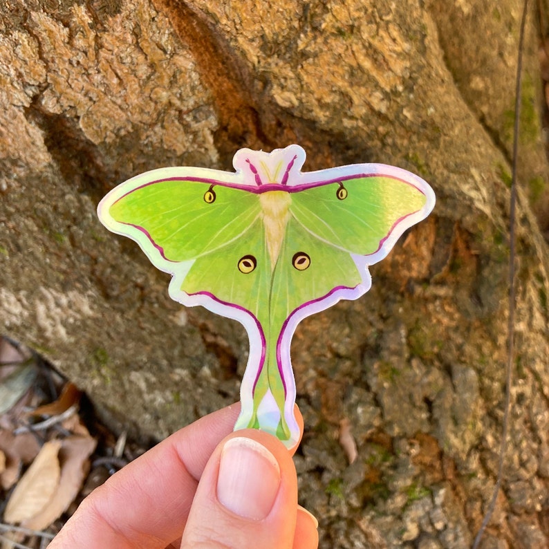 Magnificent Moth Stickers Vinyl Holo & Multi Sticker Sheets - Etsy