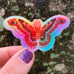 Magnificent Moth Stickers - Vinyl Holo & Multi Sticker Sheets - Etsy