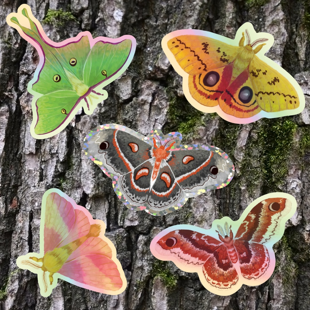 Magnificent Moth Stickers - Vinyl Holo & Multi Sticker Sheets - Etsy