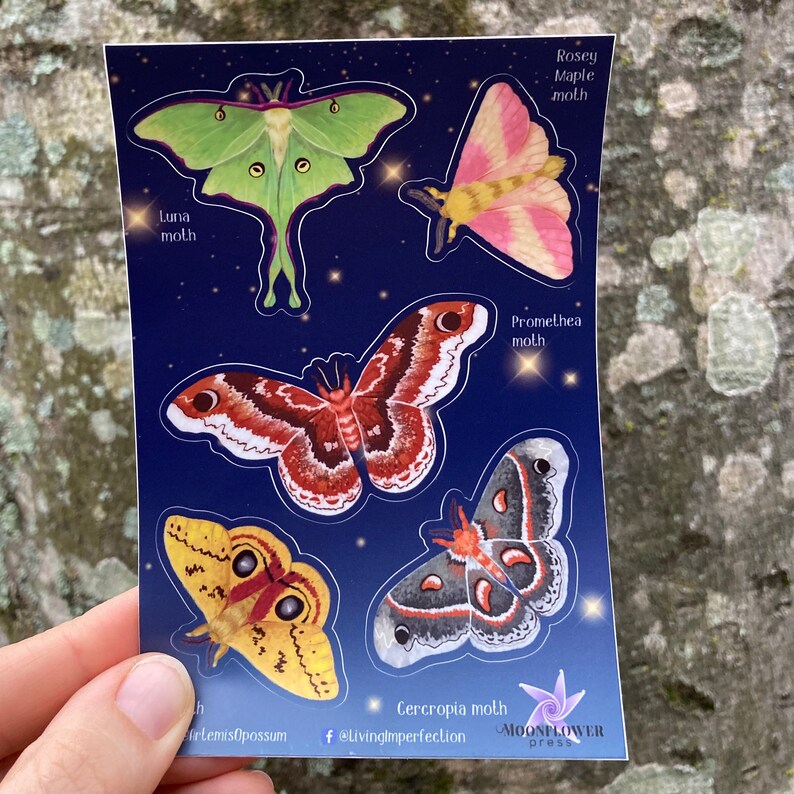 Magnificent Moth Stickers Vinyl Holo & Multi Sticker Sheets - Etsy