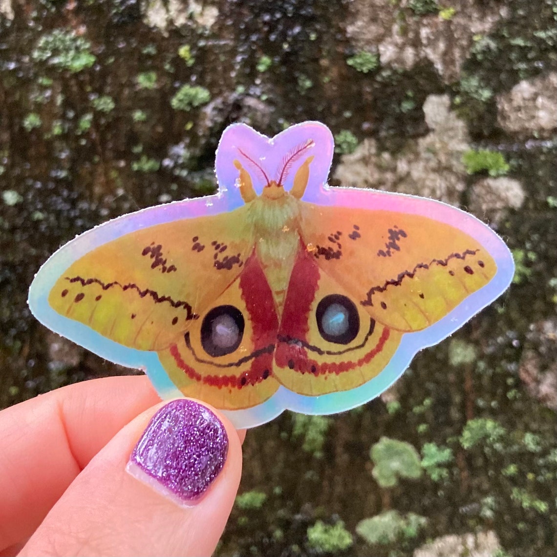 Magnificent Moth Stickers - Vinyl Holo & Multi Sticker Sheets - Etsy