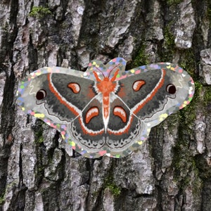 Magnificent Moth Stickers - Vinyl Holo & Multi Sticker Sheets - Etsy