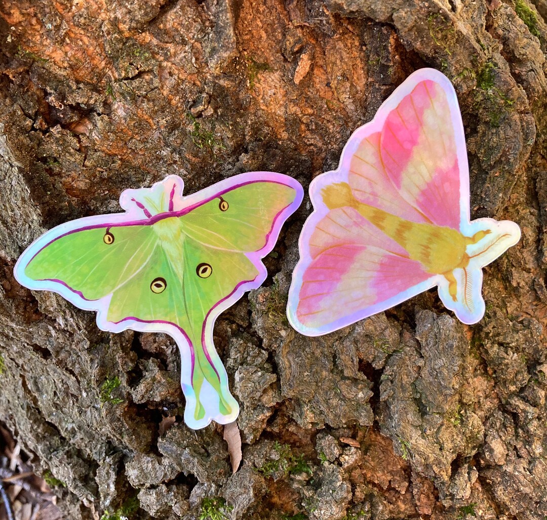Magnificent Moth Stickers Vinyl Holo & Multi Sticker Sheets - Etsy