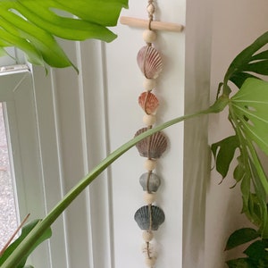 Boho Wall Art Earthy Sea Shell Driftwood Wall Hanging Long - Etsy