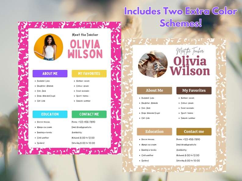 Terrazzo Editable Meet the Teacher Template - Printable Composition ...