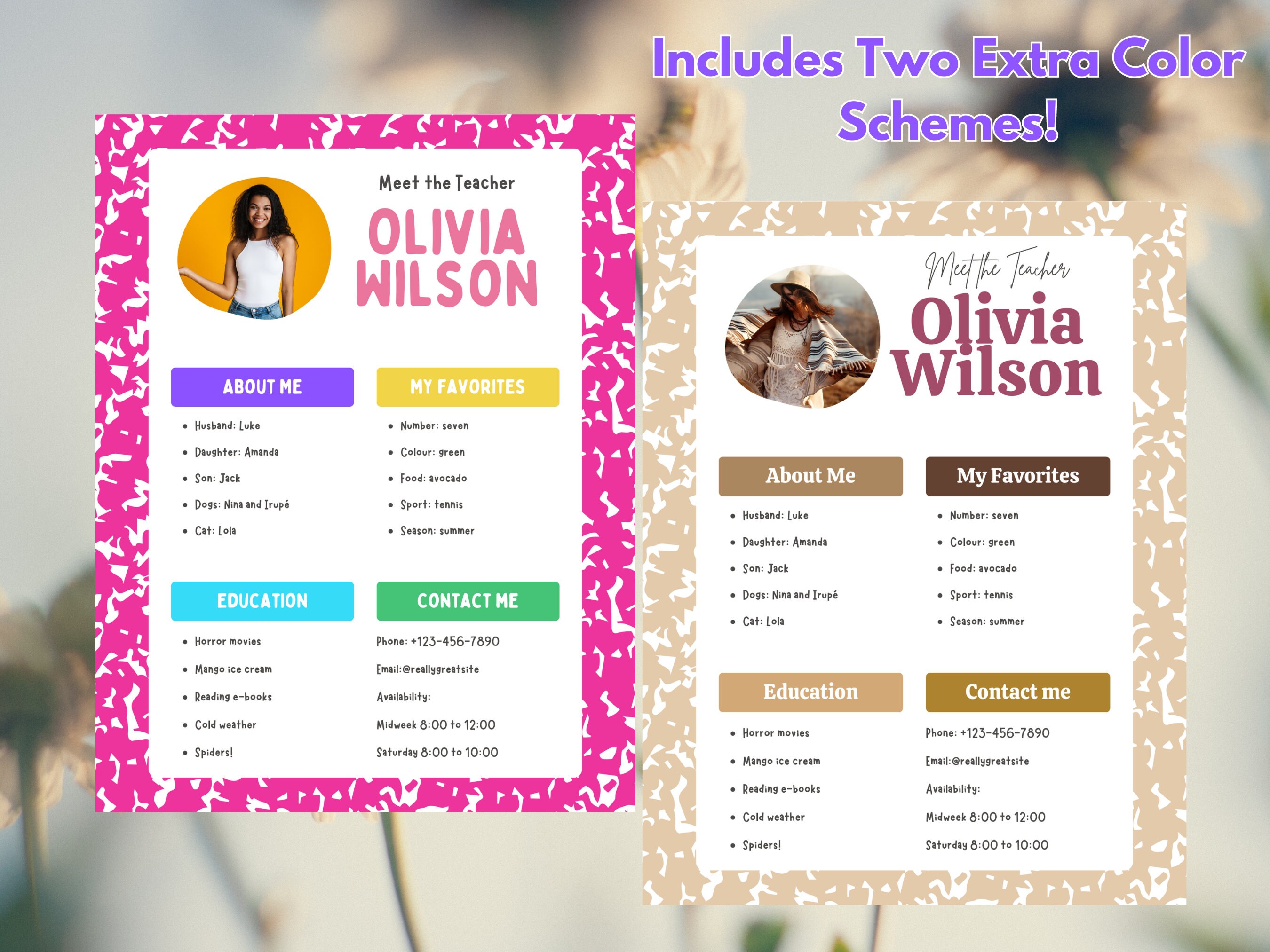 Terrazzo Editable Meet the Teacher Template - Printable Composition ...