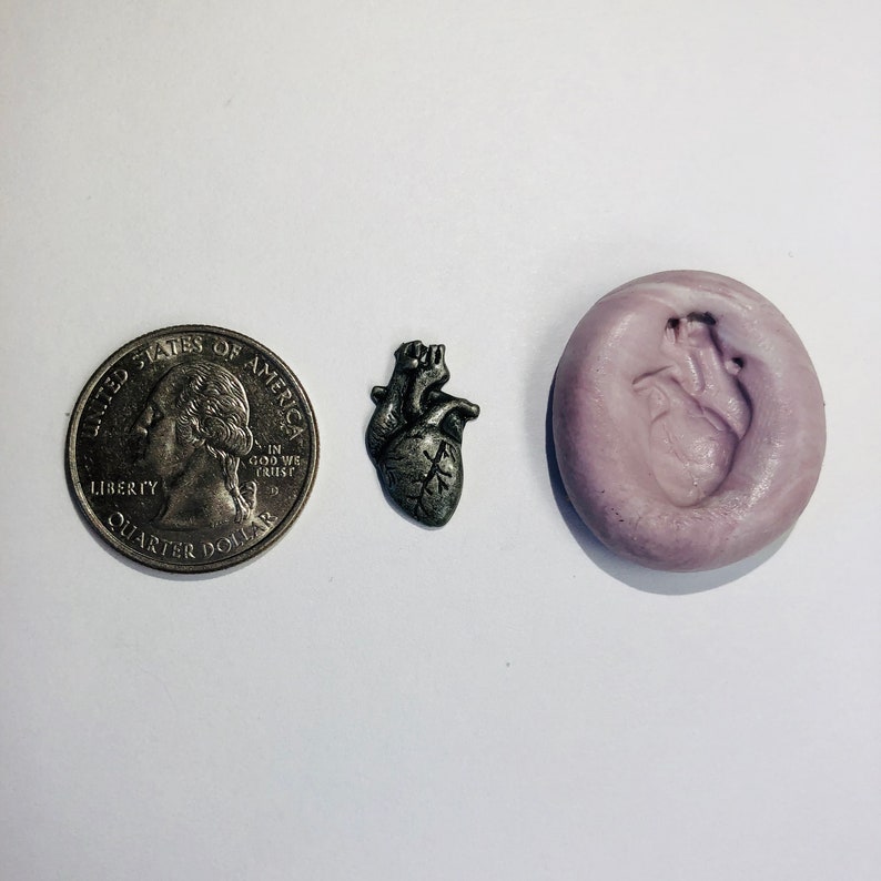 Small Human Body Parts/organs Silicone Molds - Etsy