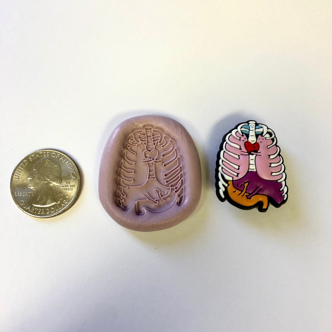 Chest Cavity Silicone Molds - Etsy