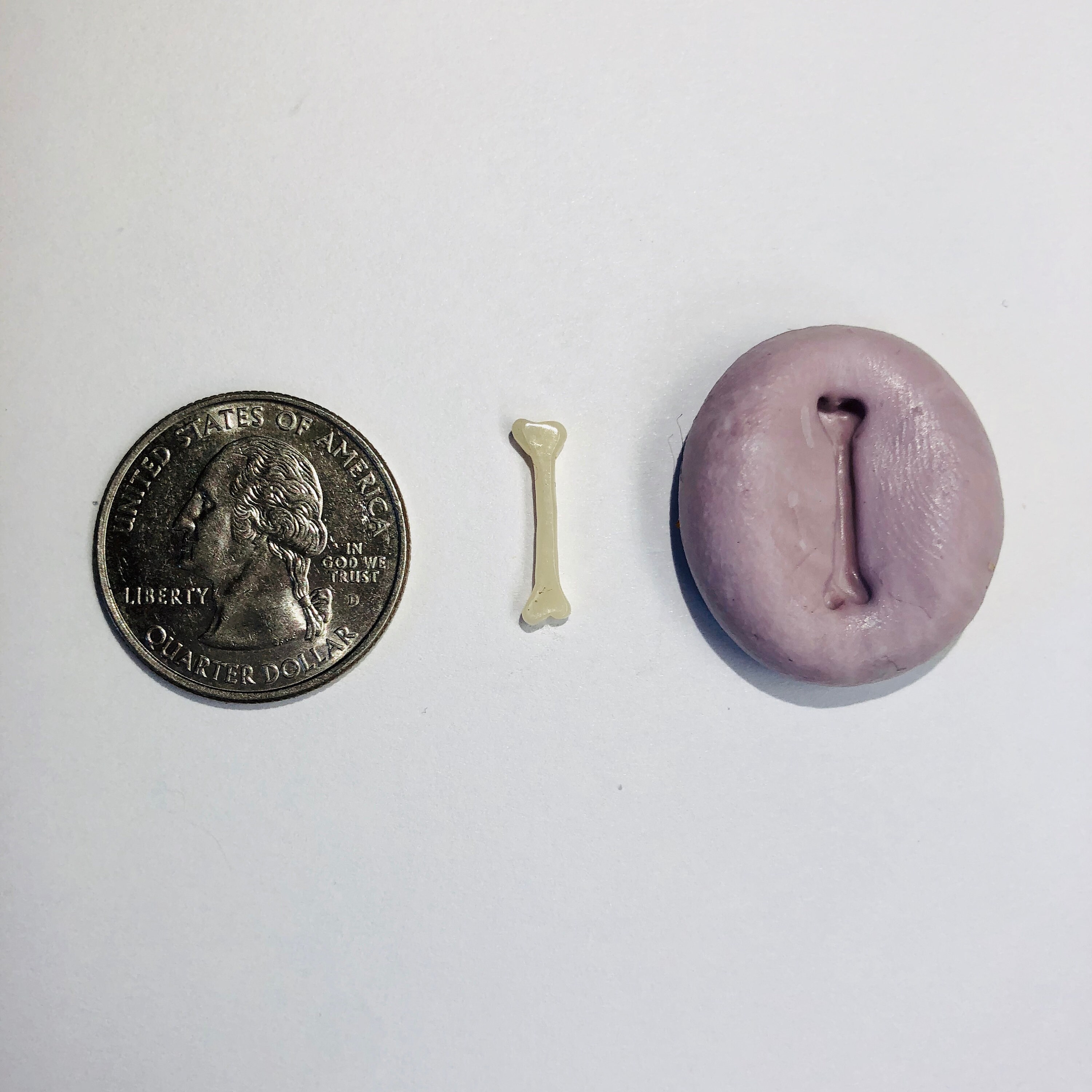 Small Human Body Parts/Organs Silicone Molds | Etsy