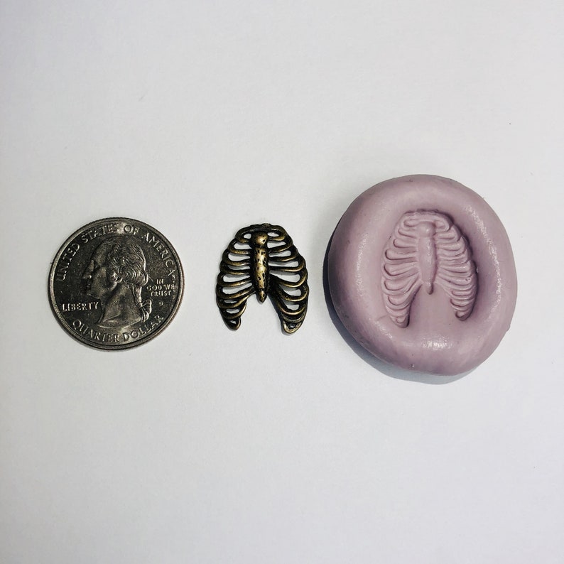 Small Human Body Parts/organs Silicone Molds | Etsy